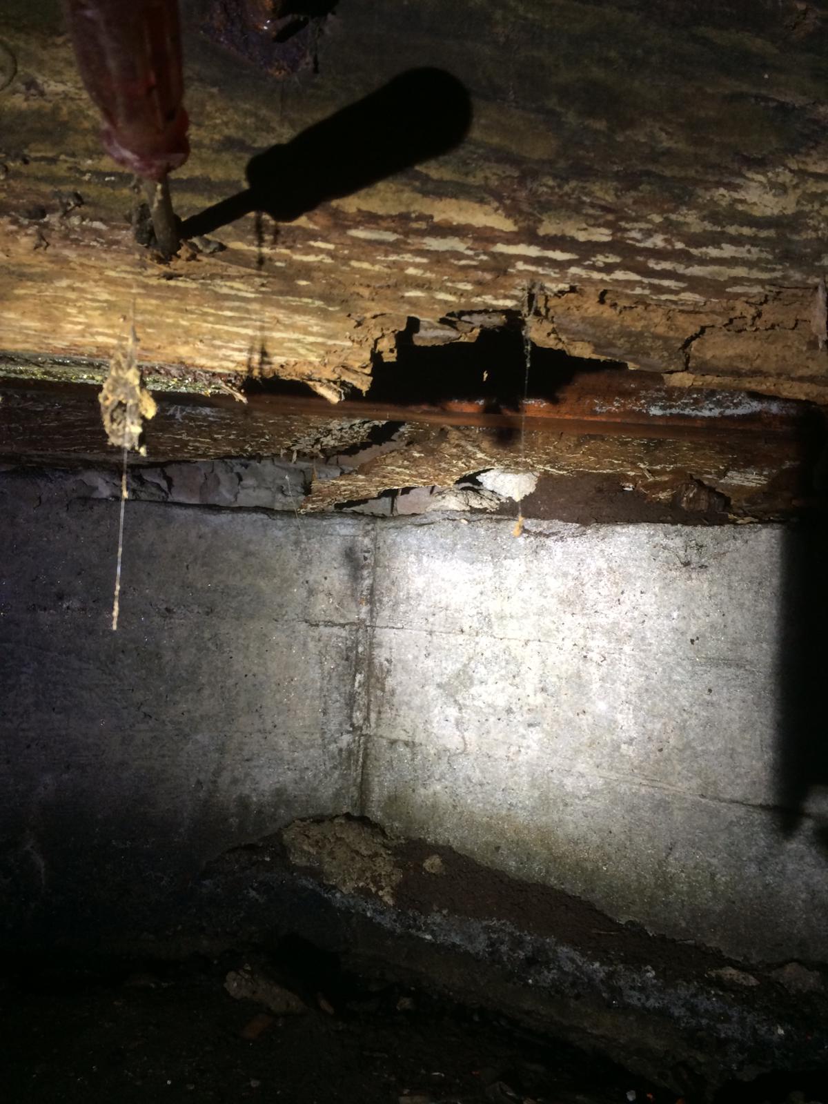 Kruipruimte isoleren? | Advies en Specialistische oplossingen